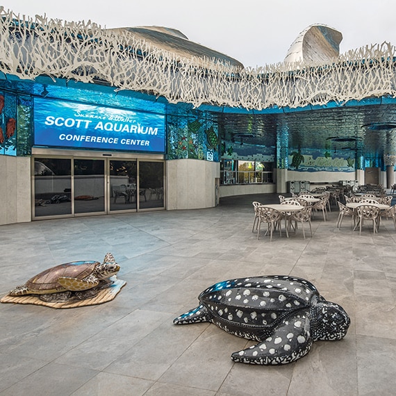 Delegate - Light Grey