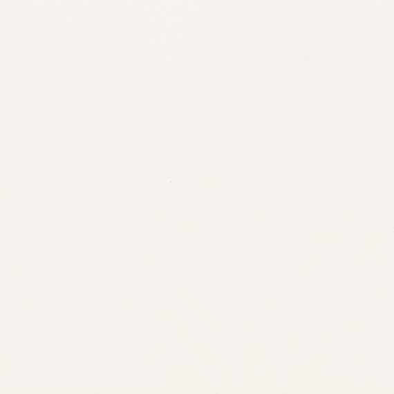 Color Wheel Retro - Matte Arctic White