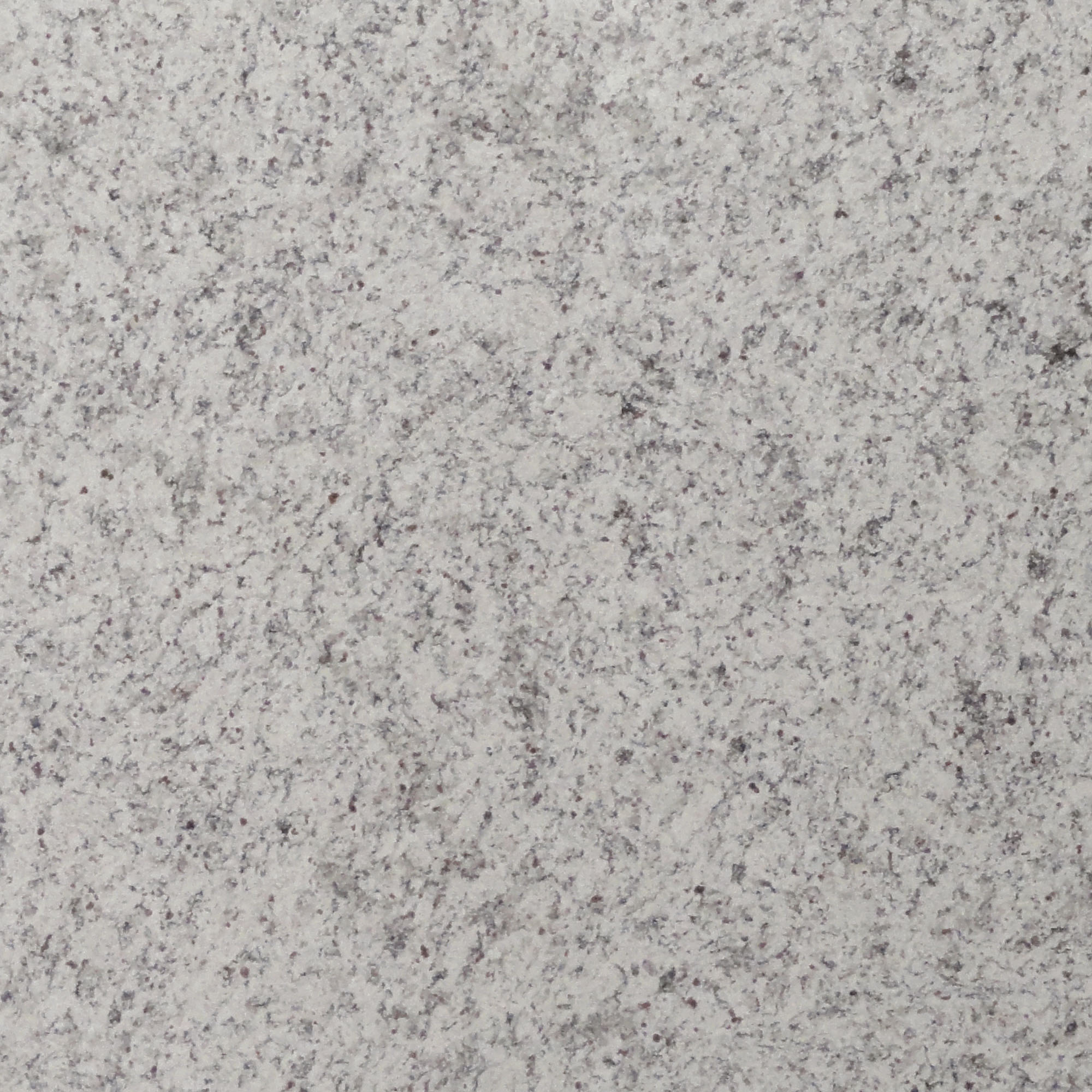 Granite - Natural Stone Slab - Ashen White